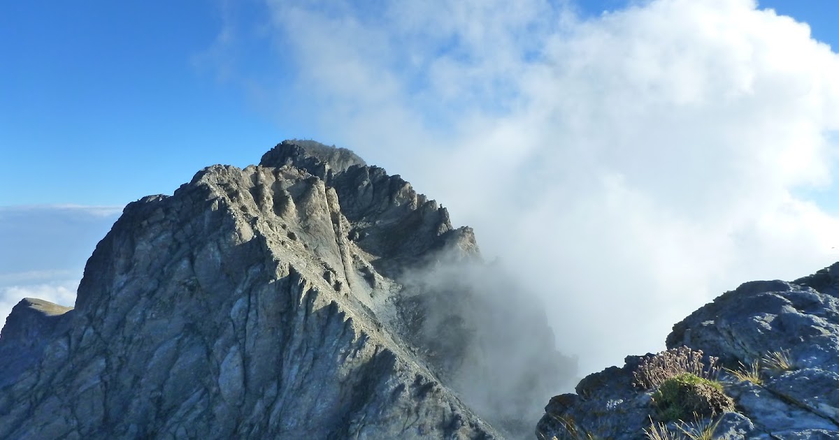 Lãng Phong: HÈ NHÌN LÊN ĐỈNH OLYMPIC-Thảo Chương Trần Quốc Việt và Thơ Họa