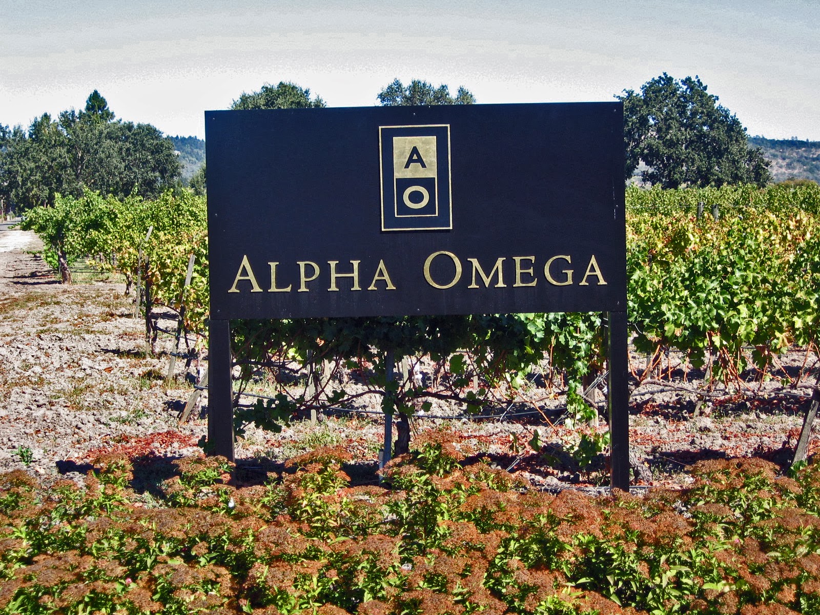 Bach to Bacchus: Alpha Omega Winery Revisited