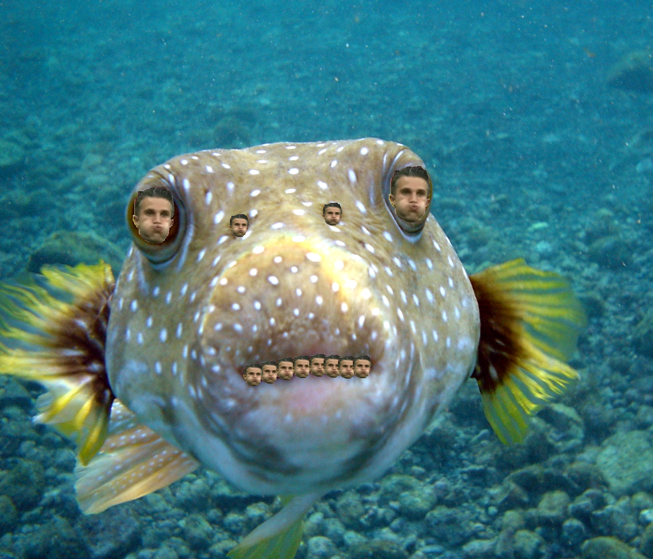 Sam's Photoshop Blog: Fish