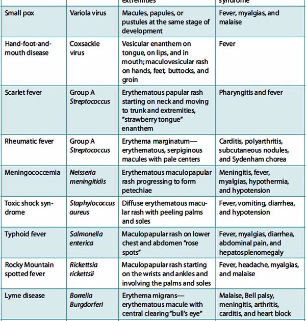 Fever and Rash Case File
