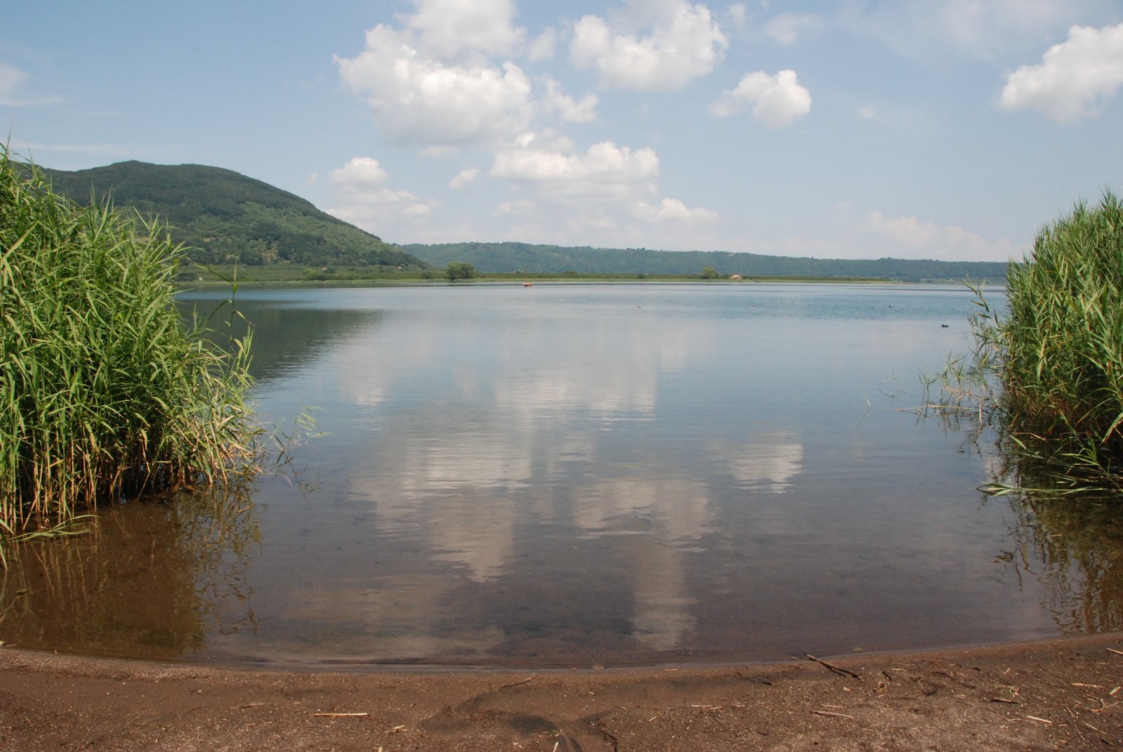 Acquari e Natura!: La Riserva Naturale del Lago di Vico - La palude ...