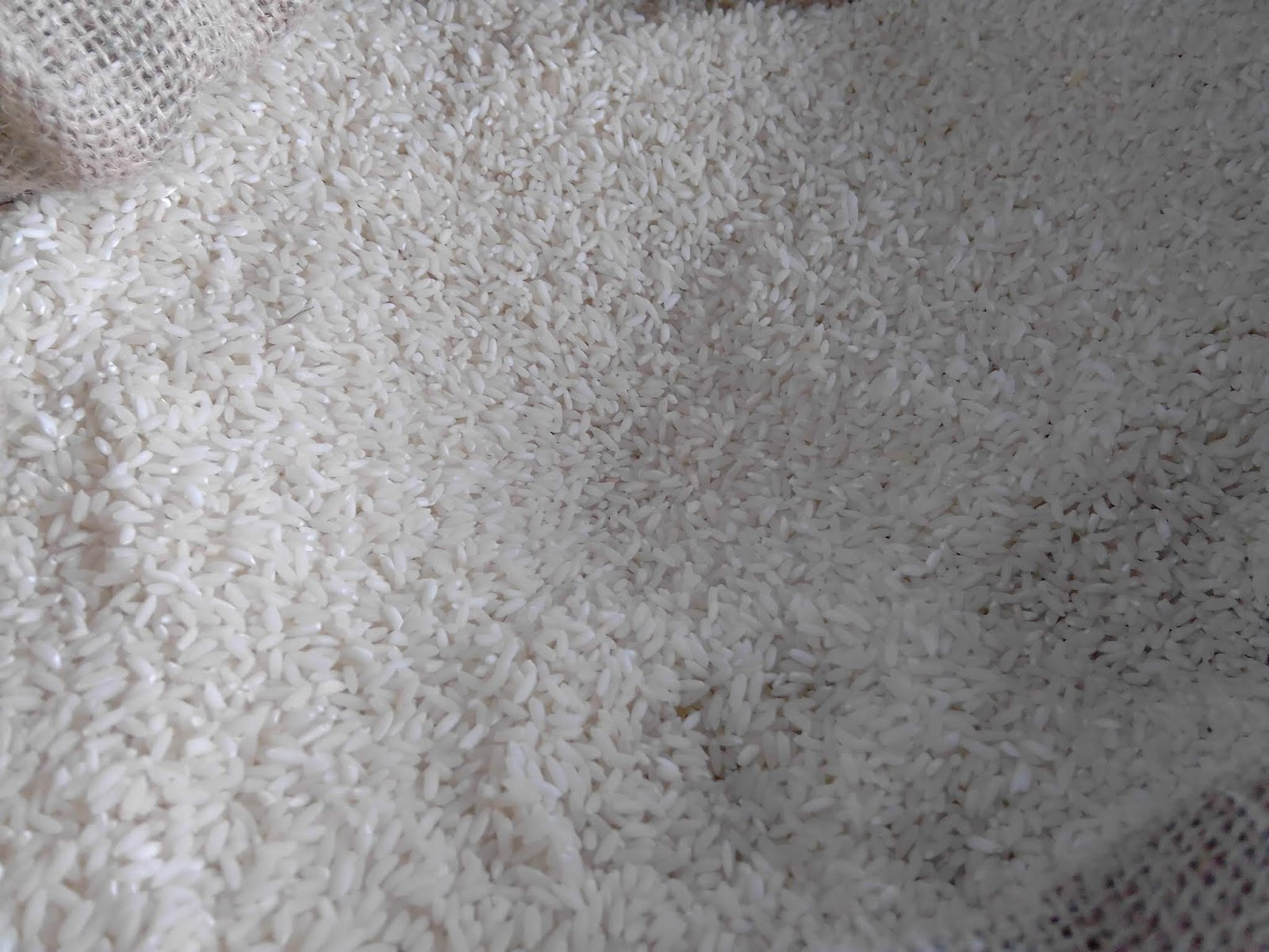 Worldwide Photographer: Fine rice in a sack