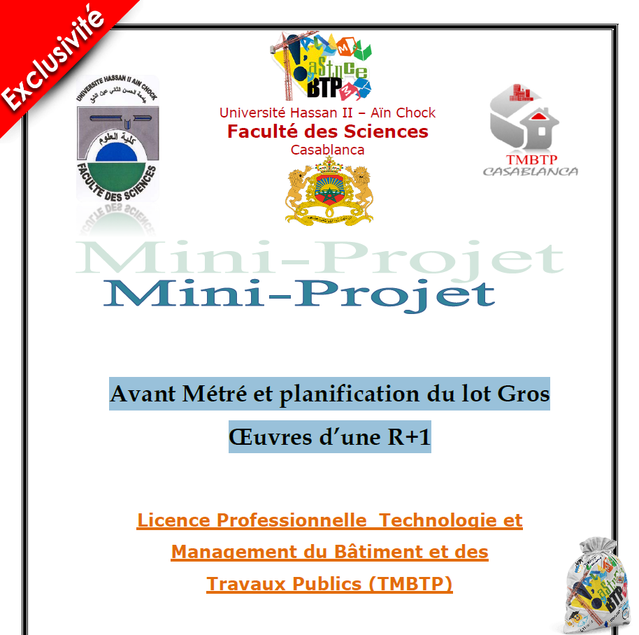 Mini-Projet BTP Avant Métré et planification du lot Gros Œuvres d’une R+1