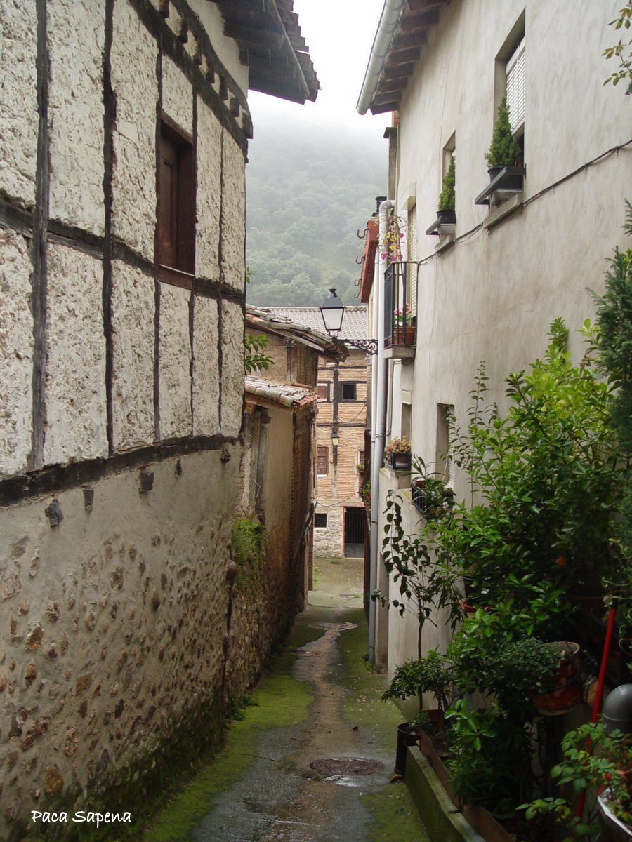 La Rioja de la A a la Z: PEDROSO - La Rioja