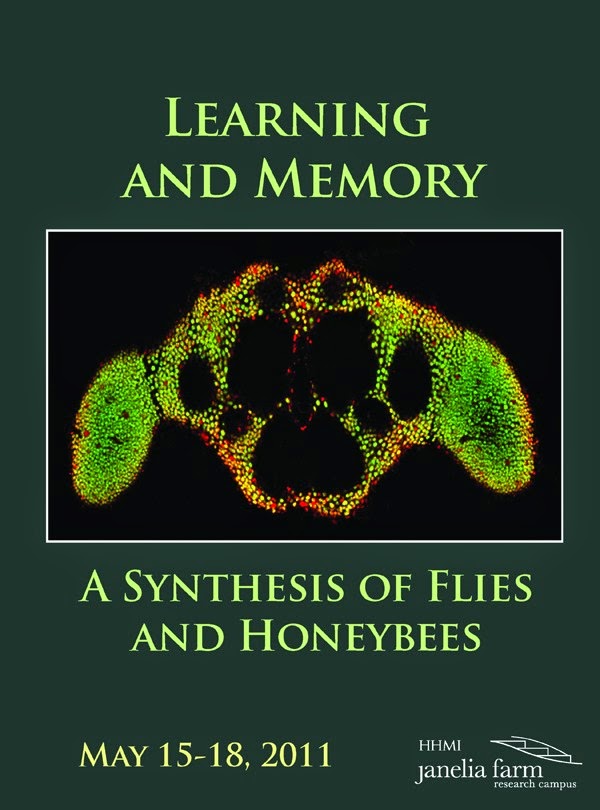 THE RELATIONSHIP BETWEEN LEARNING AND MEMORY
