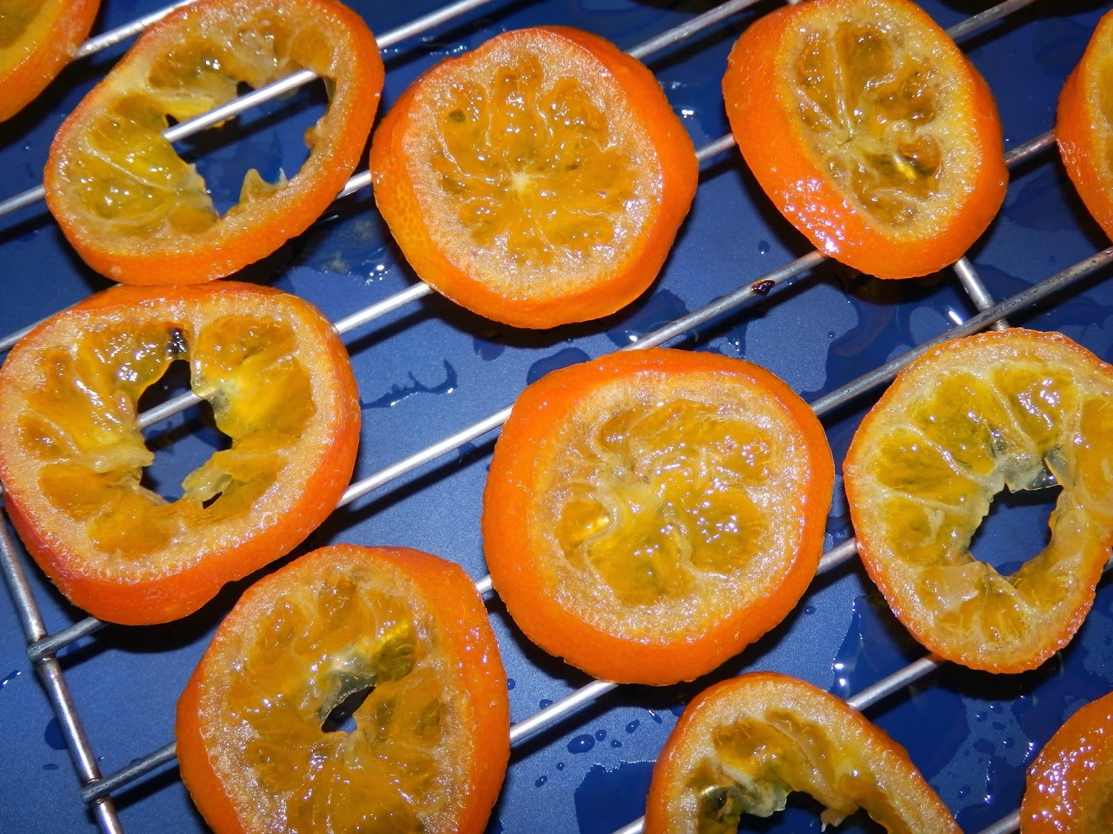 What You See...: More Mandarin-Limes (Rangpur Limes)