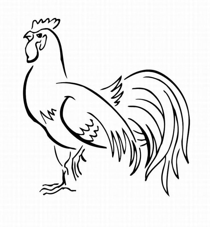 IMAGINI de colorat cu GAINI si PUI :: Fise de lucru - gradinita si scoala