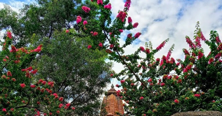 Hindu Temples of India: Narayanpal Temple, Bastar, Chattisgarh