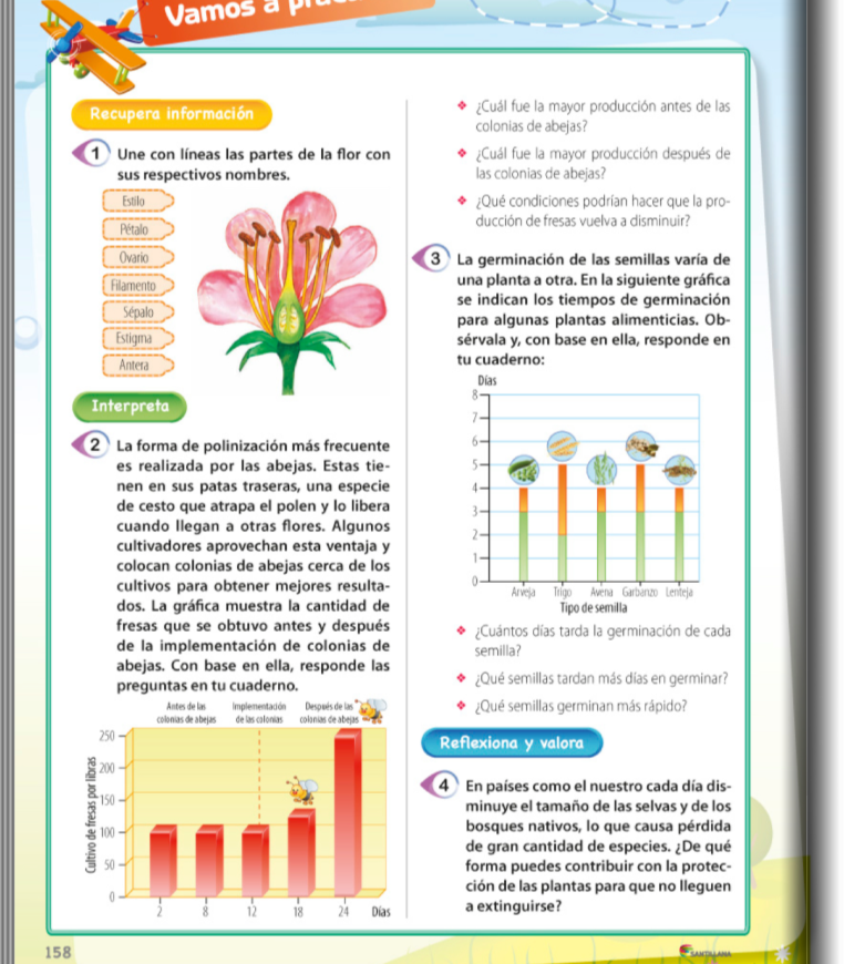 CIENCIAS NATURALES QUINTO: TEMA 3 " LA REPRODUCCIÓN"