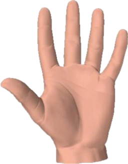 crear-con-ciencia: LA IMPORTANCIA DE LOS SENTIDOS: … EL TACTO!.