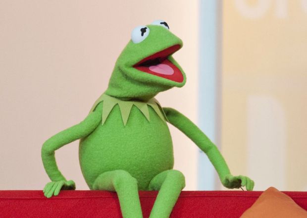 THE GRANDMA'S LOGBOOK ---: KERMIT THE FROG DEBUTS ON TV SHOW 'SAM ...