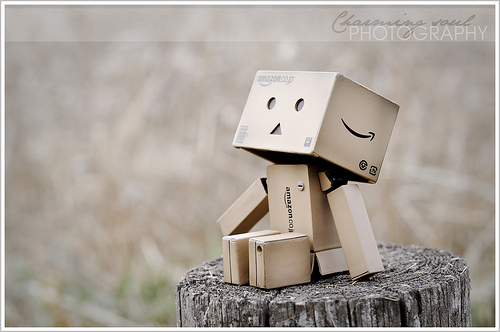 Danbo Boneka Lucu Menggemaskan | NNZR Blog
