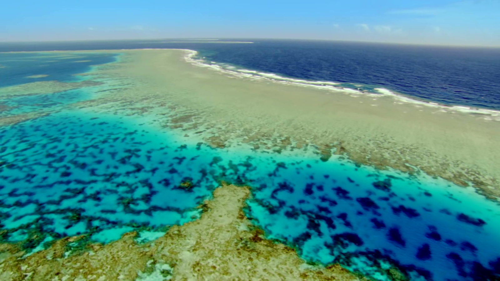 Asadal: BBC Blue Planet Revisited 2/2: Great Barrier Reef (2020)