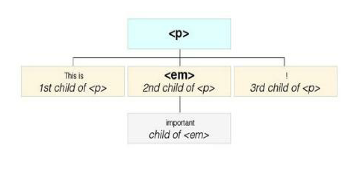 Document Object Model (DOM) | Hits JavaScript Tutorial Document Object Model (DOM) | Hits JavaScript Tutorial