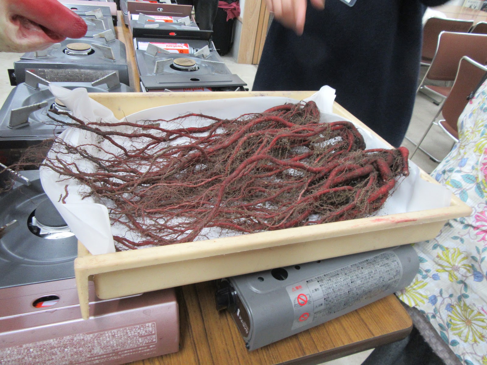 Beppu blog by a local English tour guide: "Murasaki" (purple) Dyeing ...