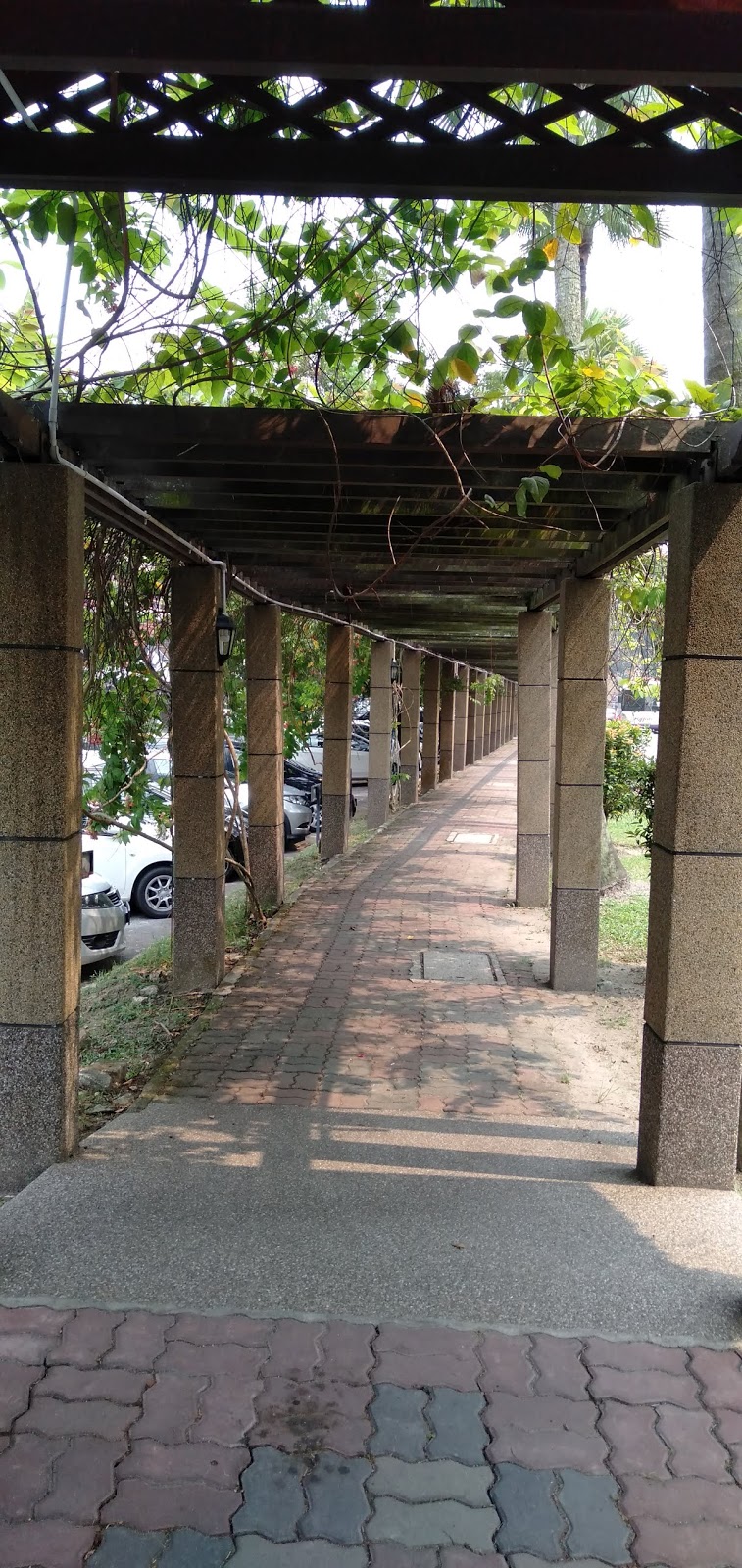 PENGALAMAN BERJALAN KAKI DARI FEP KE KKM UKM... PENGALAMAN BERJALAN KAKI DARI FEP KE KKM UKM...