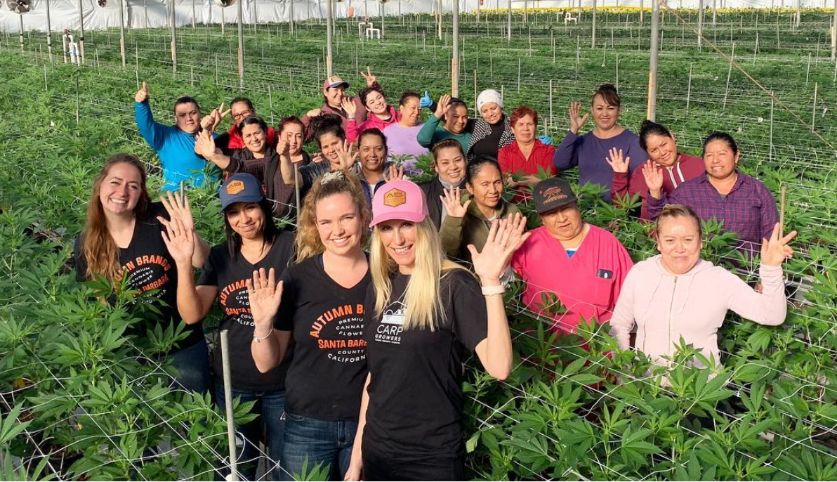 The Gray Report: Cannabis as a farm product: an interview with Autumn ...