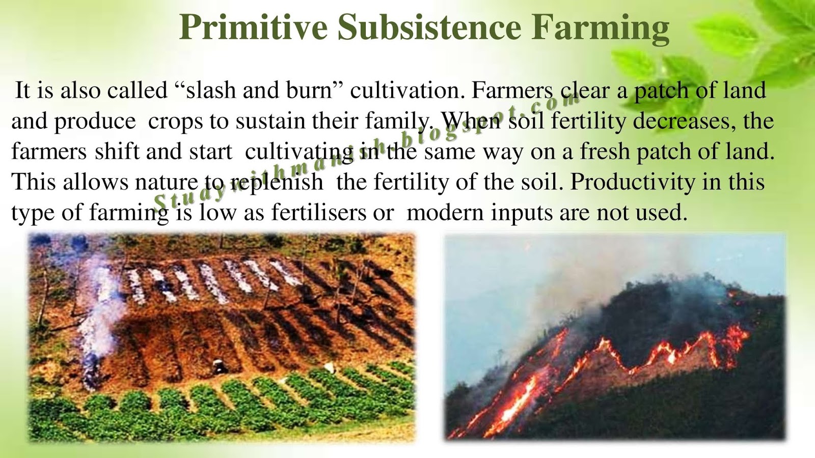 **Agriculture**Class 10th**PPT**