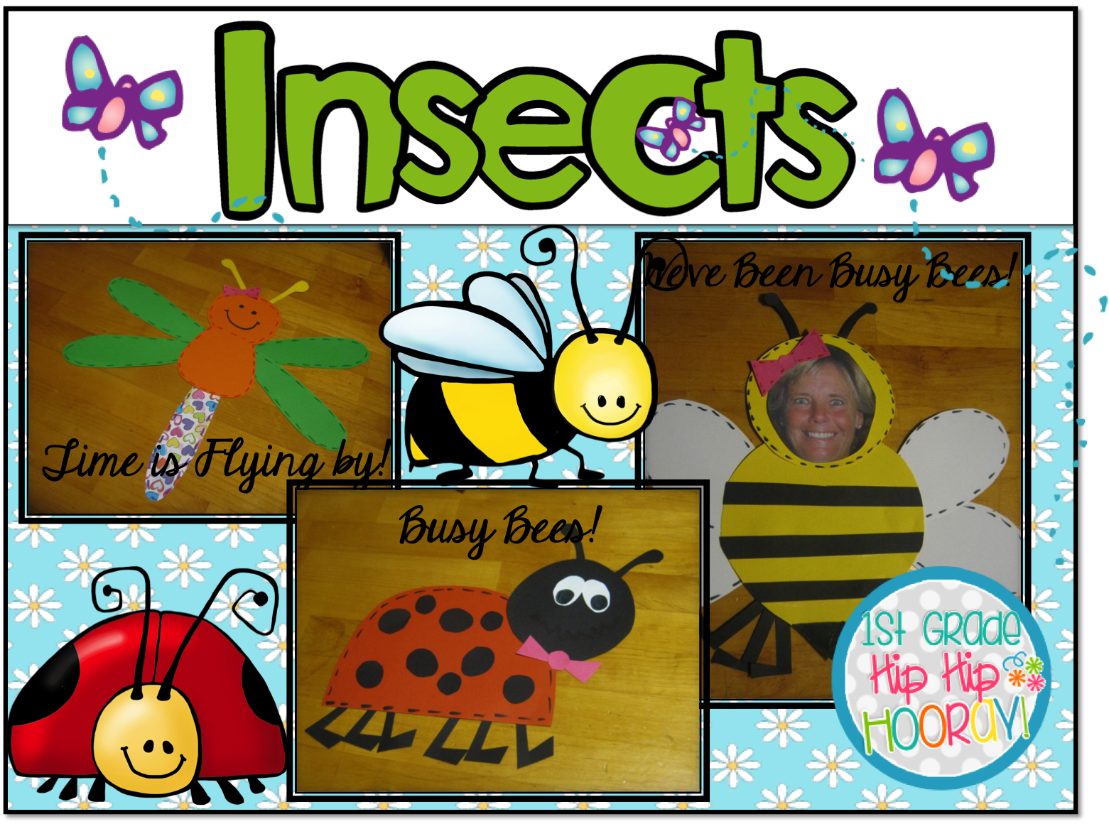 1st Grade Hip Hip Hooray Insects Interesting 1st-grade-hip-hip-hooray-insects-interesting