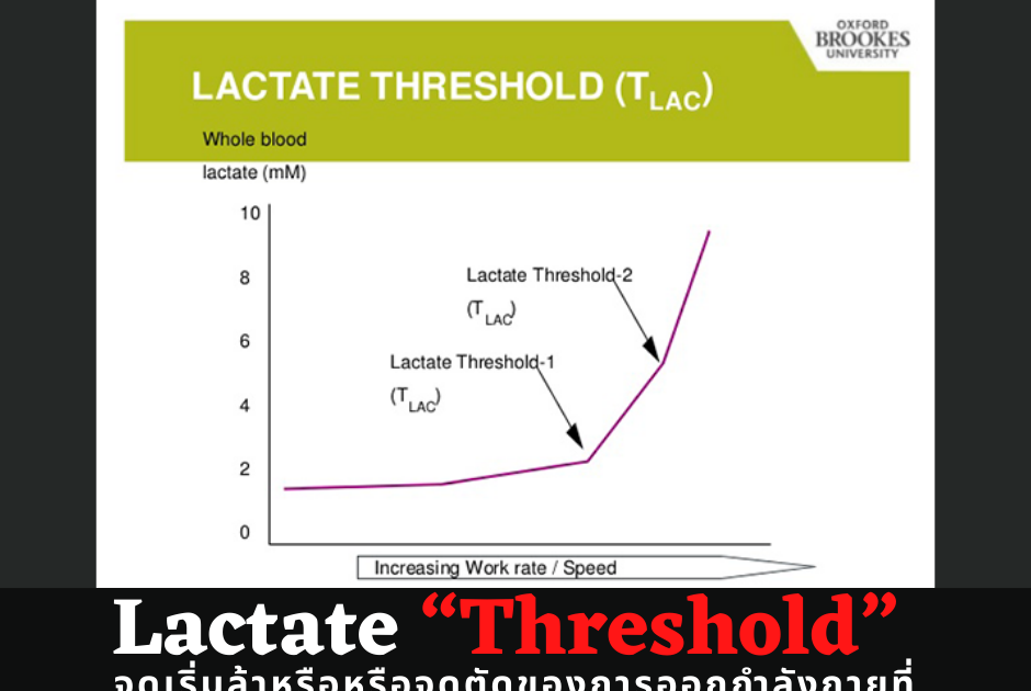 ss-running: Lactate Threshold (LT1, LT2) ที่สุดความงง แห่งวงการวิ่ง ...