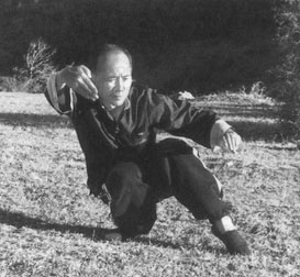 Grão Mestre Chan Kowk Wai