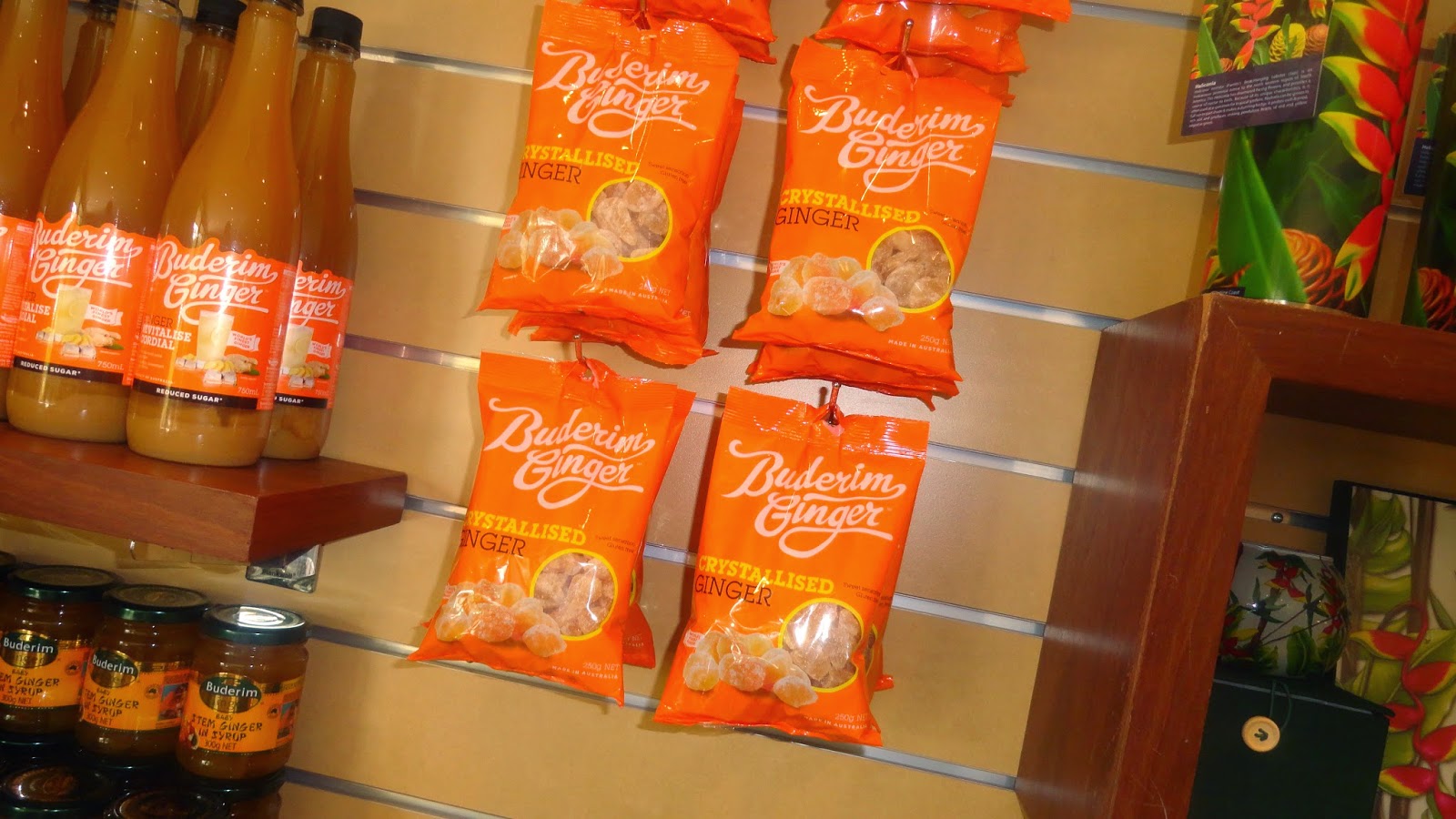 Fiji Ginger at Budrim Ginger-Worlds Largest Ginger Factory | AGRONET FIJI