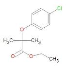 sikkahoder: Obat hipolipodemik : obat untuk menurunkan kolesterol darah ...
