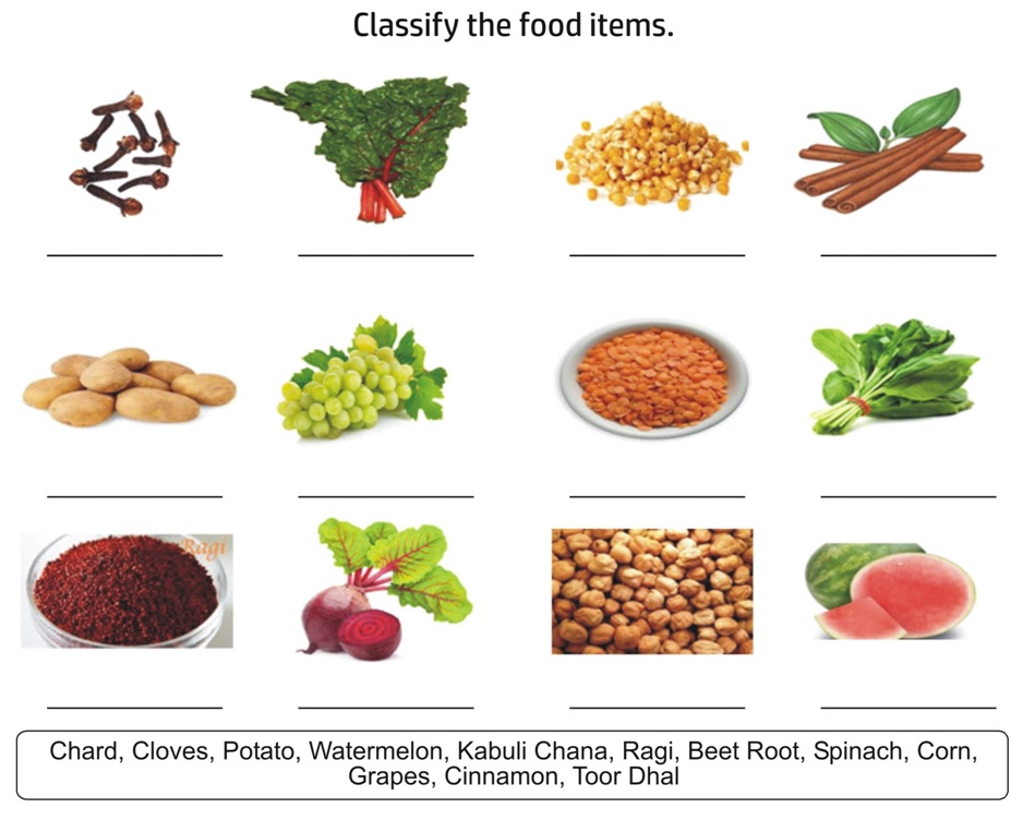worksheets: Classify The Food Items