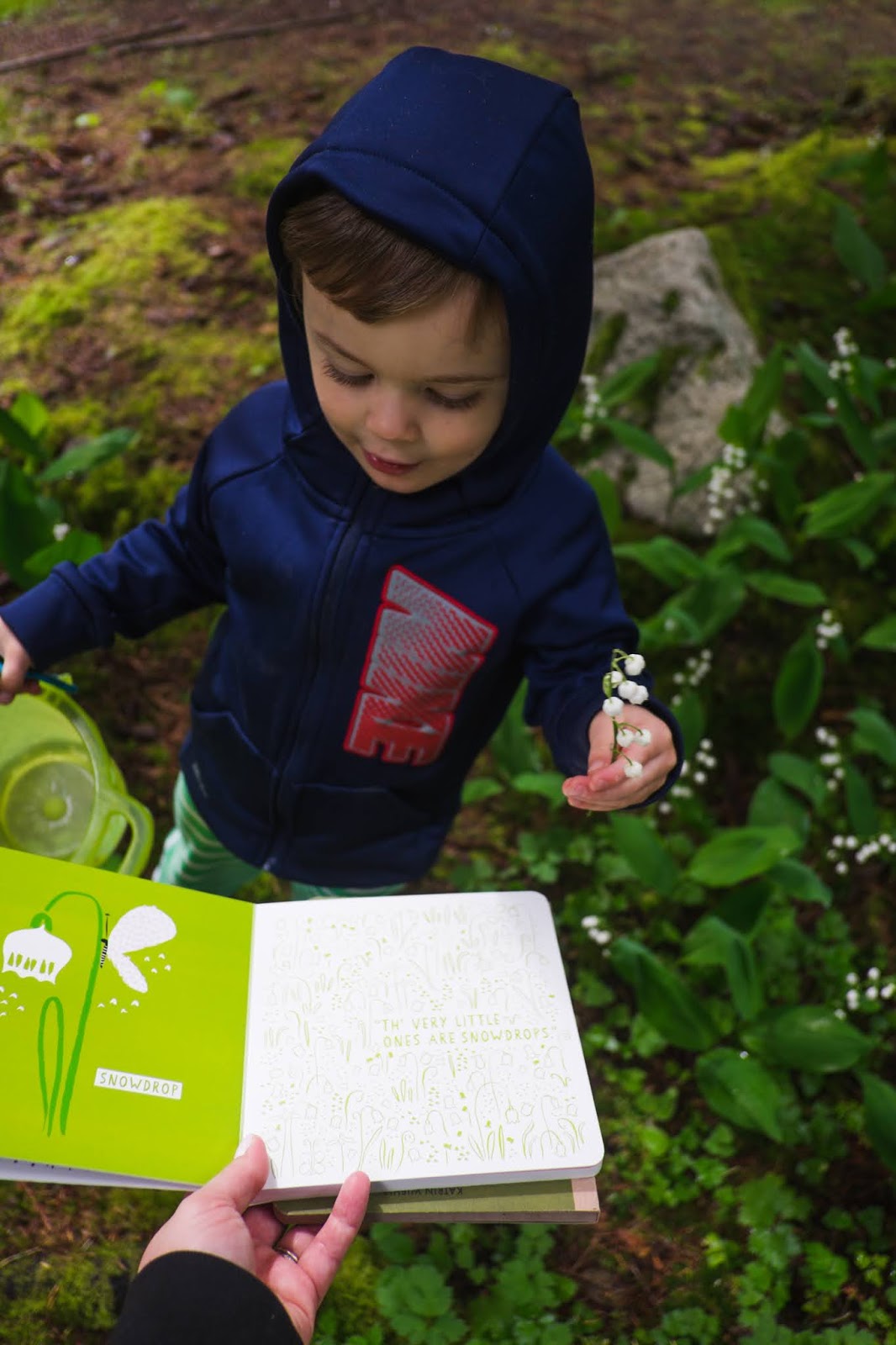 Domestic Fashionista: The Great Outdoors: Preschool Lesson Plan