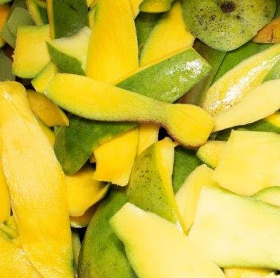 MANGO TREES: Protein in mango