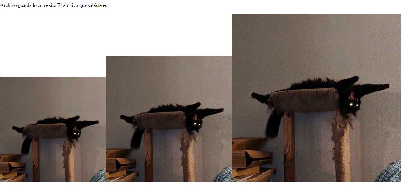 Portafolio Digital: Parcial2 .- 3.M3S3. Desarrolla app que se ejecutan ...