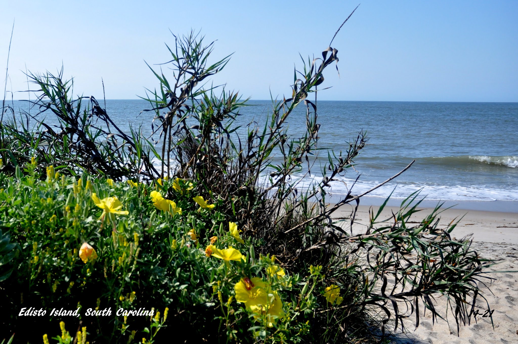 The Best Is Yet To Come: FIND YOUR BEACH ACCESS AND ENJOY THE JOURNEY ...