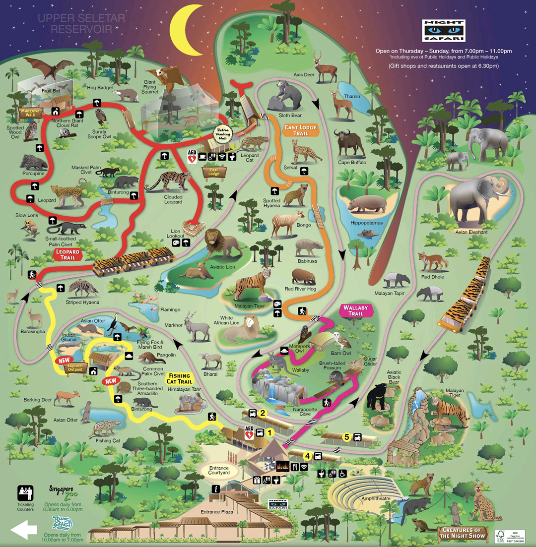 Roadblog101: Night Safari