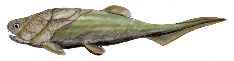 Althouse: Let's look at Ginsburg's language: "I will not be replaced ...