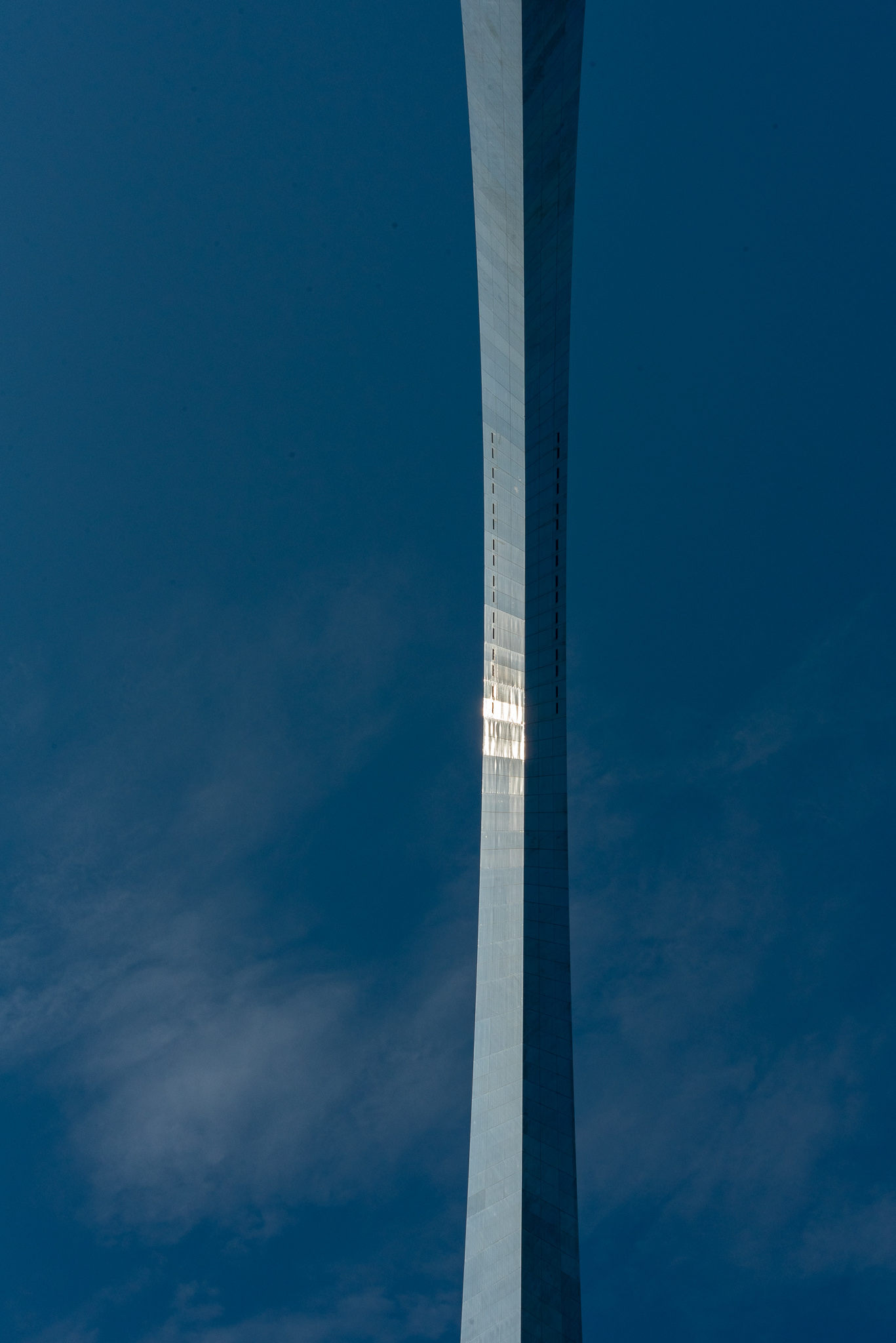A Tree Falling: Gateway Arch National Park