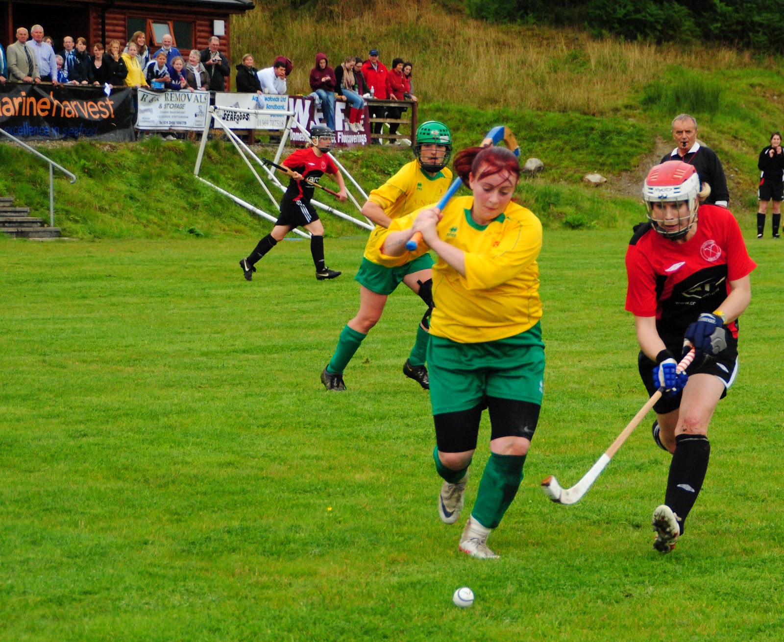 Shintyfan: SHINTYFAN'S CONVERTED