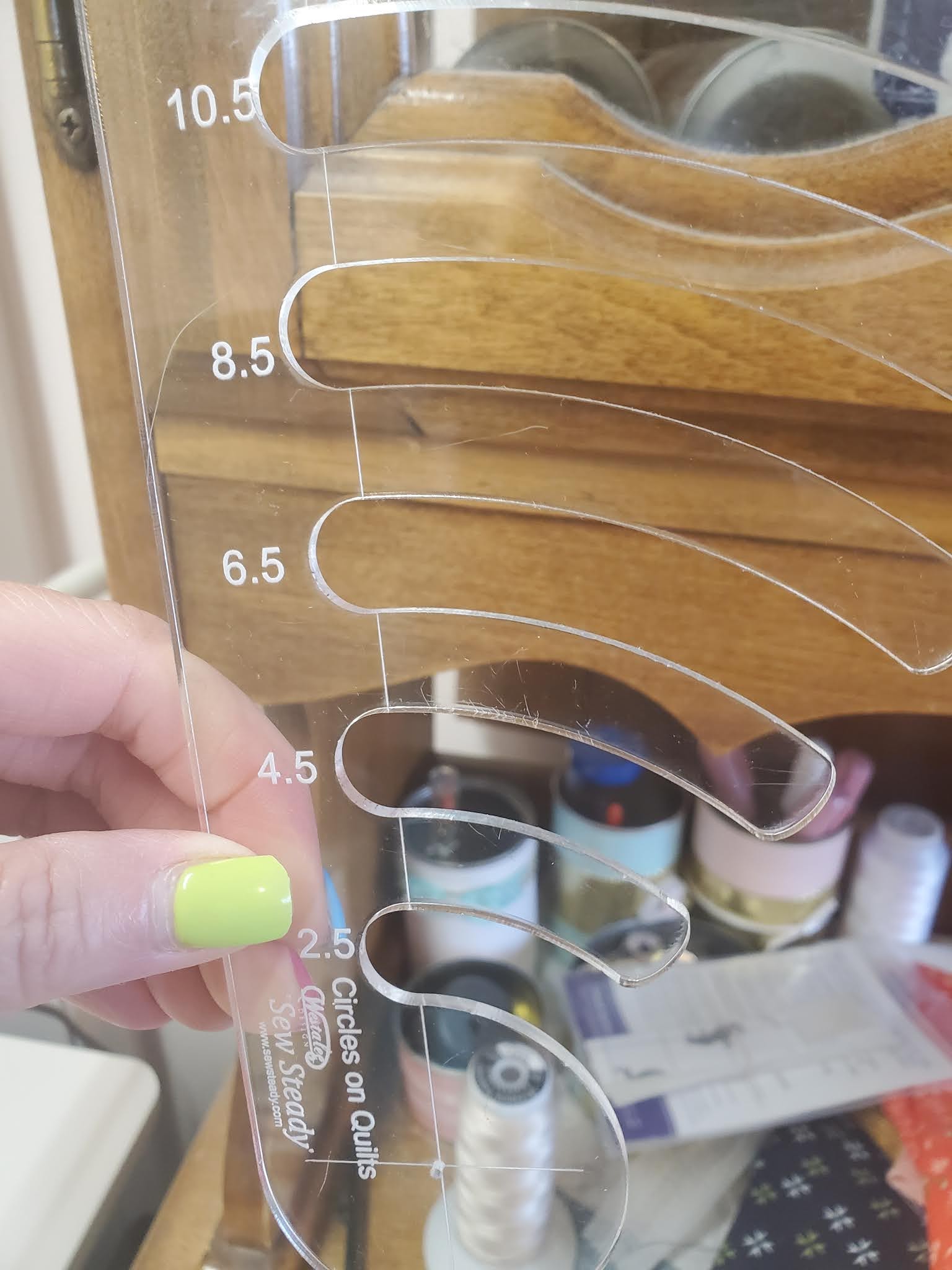 Dreamworthy Quilts: FNSI - Quilting