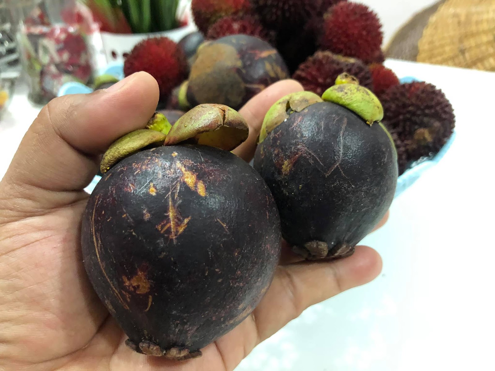 MACAM MANGGIS TAPI BUKAN MANGGIS. YANG INI NAMANYA MESTA