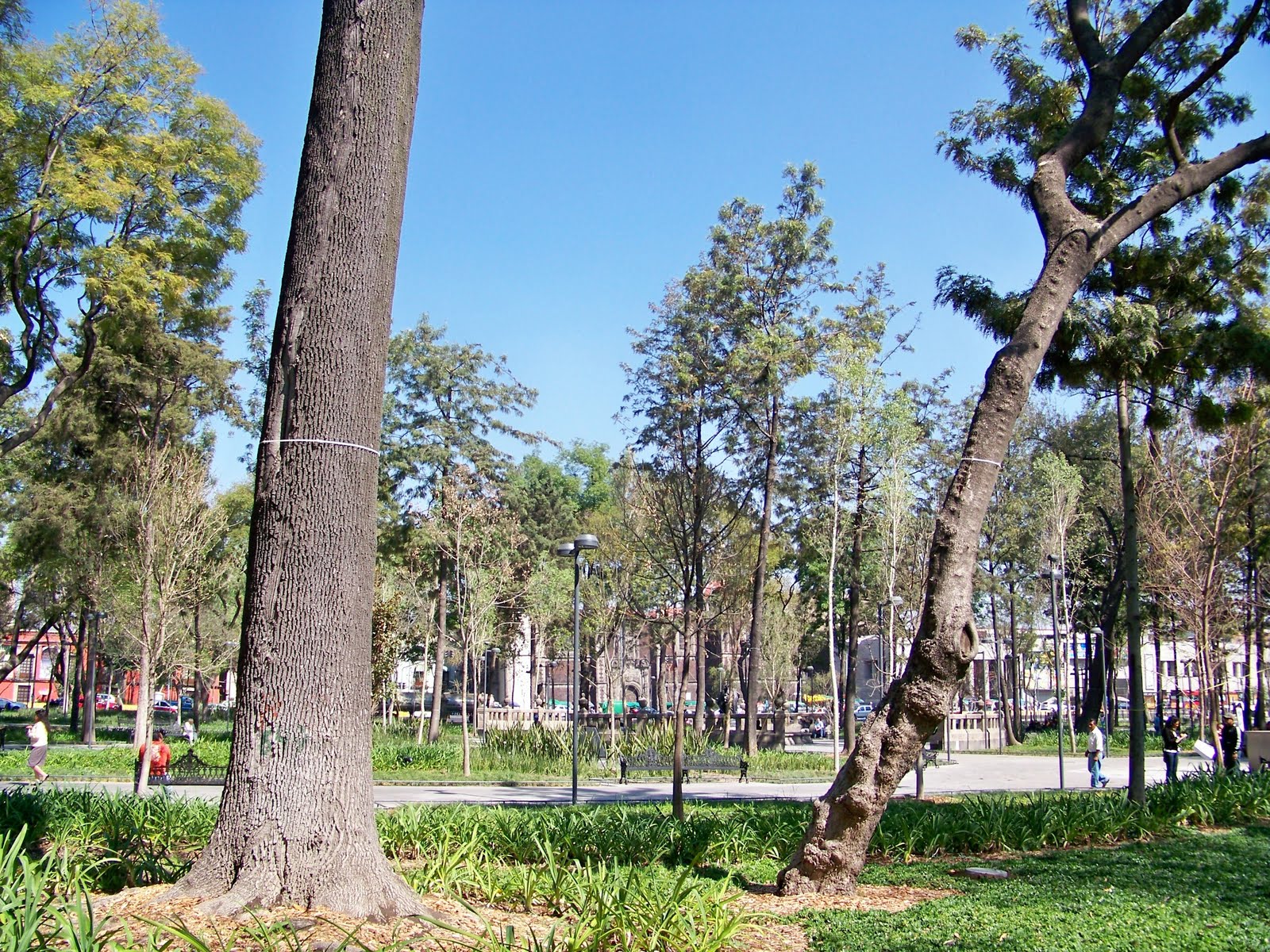 Pepe Martínez: ALAMEDA CENTRAL DE MÉXICO: EL PARQUE MÁS ANTIGUO DE LAS ...