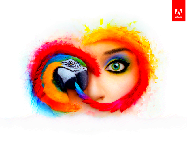 تجميعة كل برامج أدوبى 2019 | Adobe CC Collection