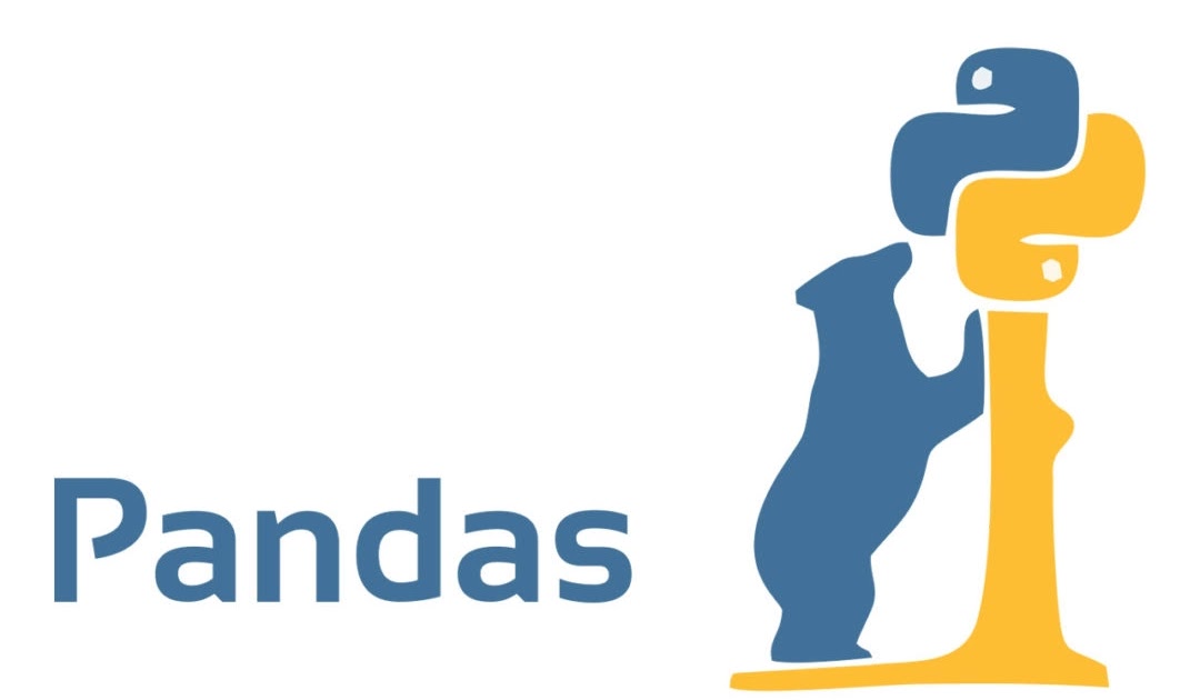 Pandas Library - Lost Brain Cells