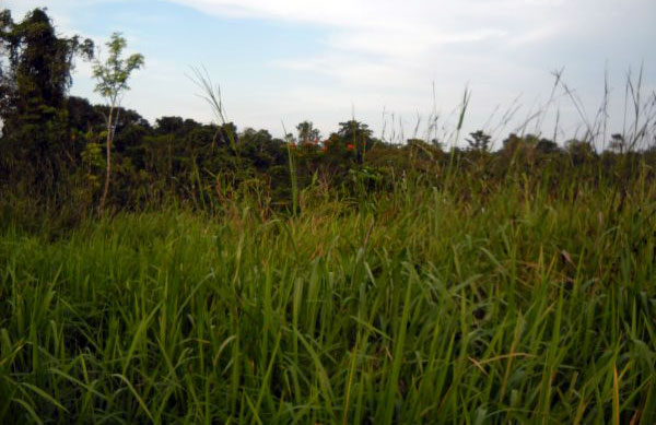 a bit of everything: 'the last post' for Ernie Roberts (part 3)