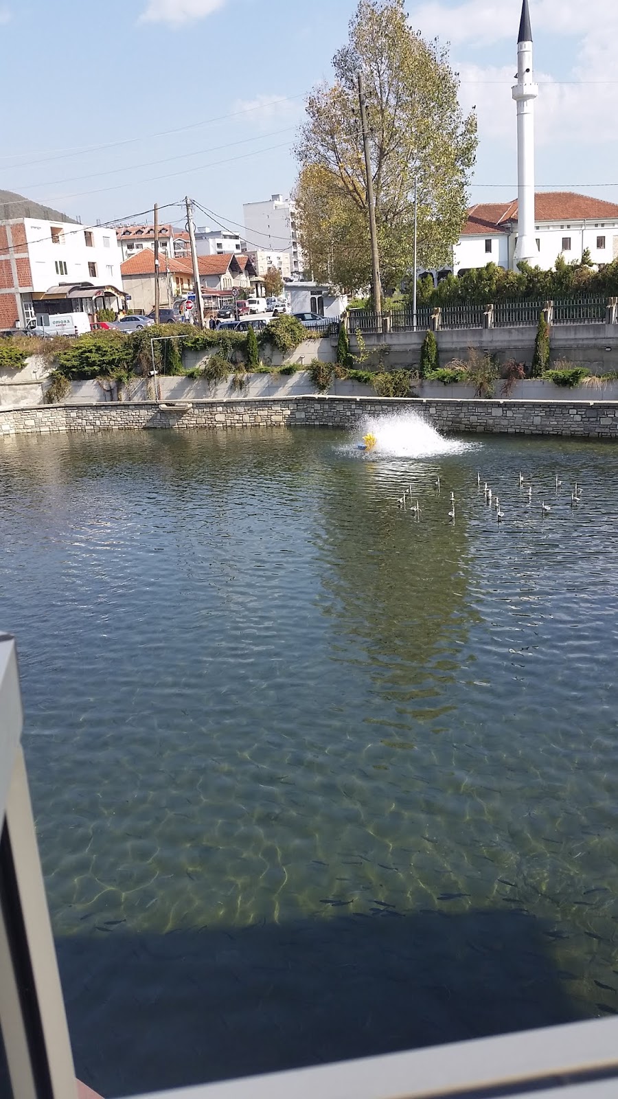 Committed Stitcher: First Time To Trofta