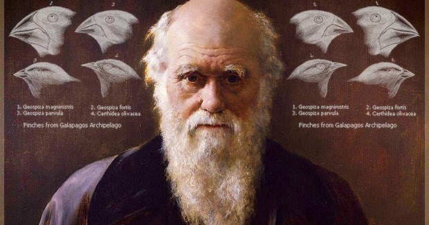 How natural selection resulted in both unity and diversity of life on ...