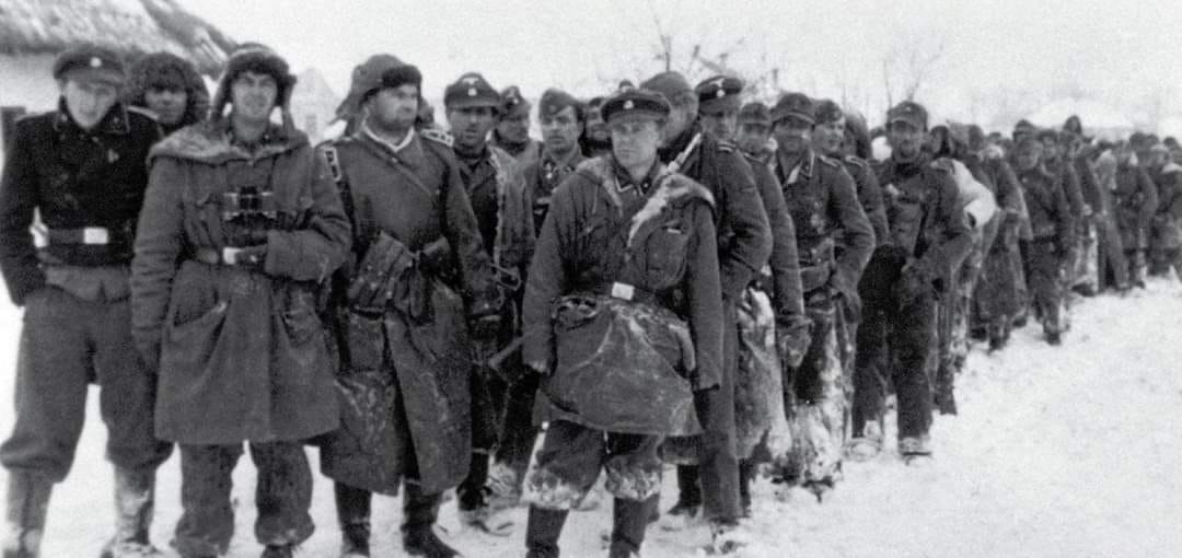 NAZI JERMAN: Foto 5. SS-Panzer-Division "Wiking"