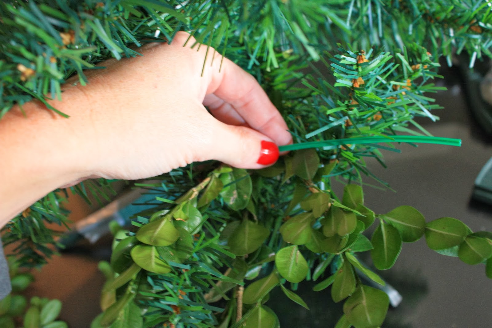 The Yellow Cape Cod: Boxwood Tree Tutorial~How To Keep Real Green ...