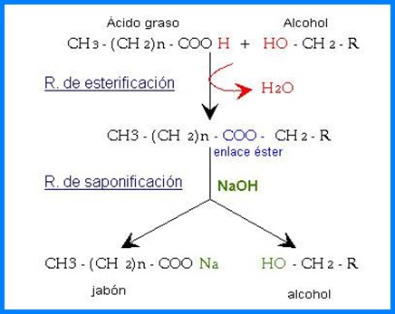 Química Orgánica: ÉSTERES Y SUS APLICACIONES