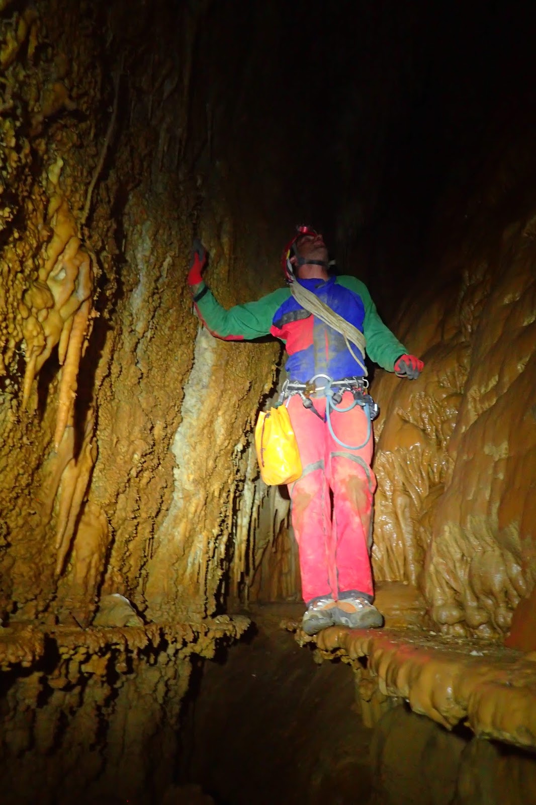 Les Trogloxènes Explorations Spéléologiques