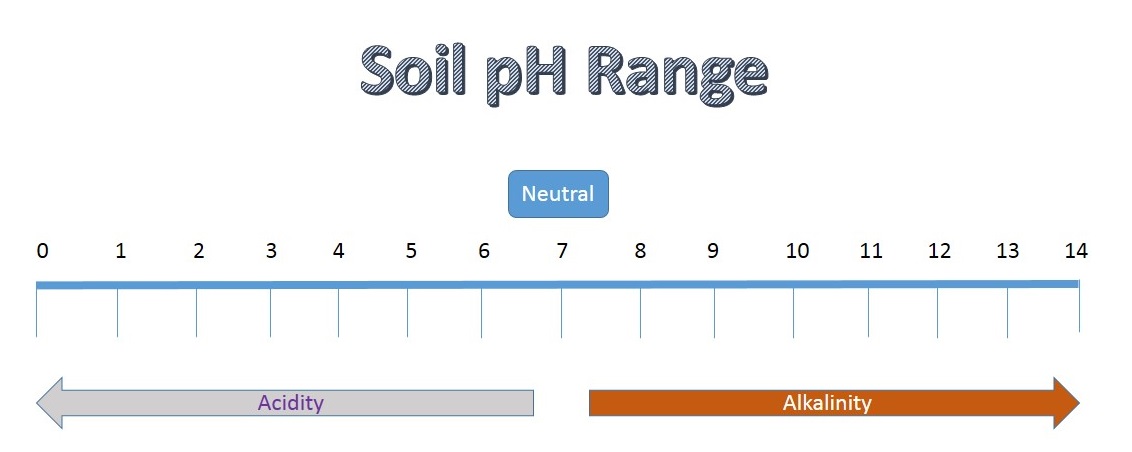 Soil pH and Vegetable Crops ~ A2Z Veg-Science