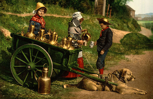 The Presurfer: Photochrom Postcards